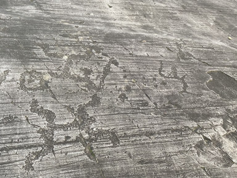 SoloTablet intervista gli sviluppatori di APP italiani: Fabio Collini ...